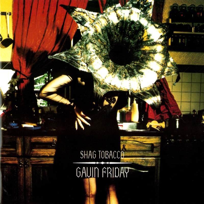 Meaning of Gavin Friday - Angel | TuneInsights
